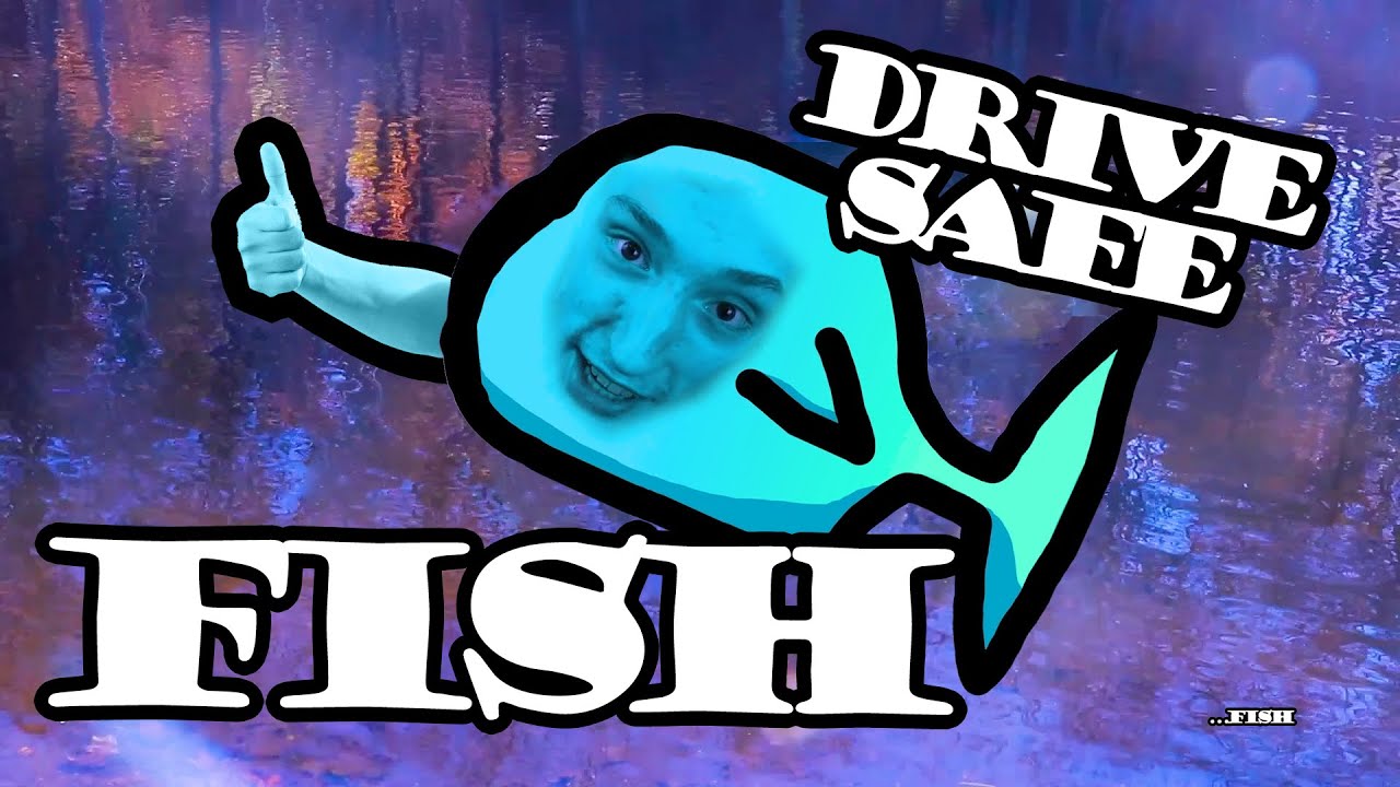 Drive Safe Fish - YouTube