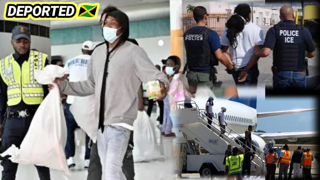 DEPORTED BACK TO JAMAICA🇯🇲 WITH NOTHING/ 107 DEPORTEE AND 2,50O MORE ON ...