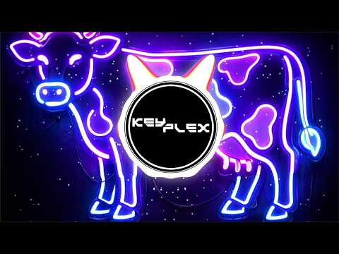 [Deep House, Drum & Bass] KEYPLEX - Plastikkuh