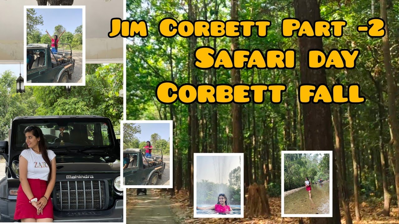 Jim Corbett || Funniest Jungle Safari ever 😂|| Corbett fall|| Safari ...