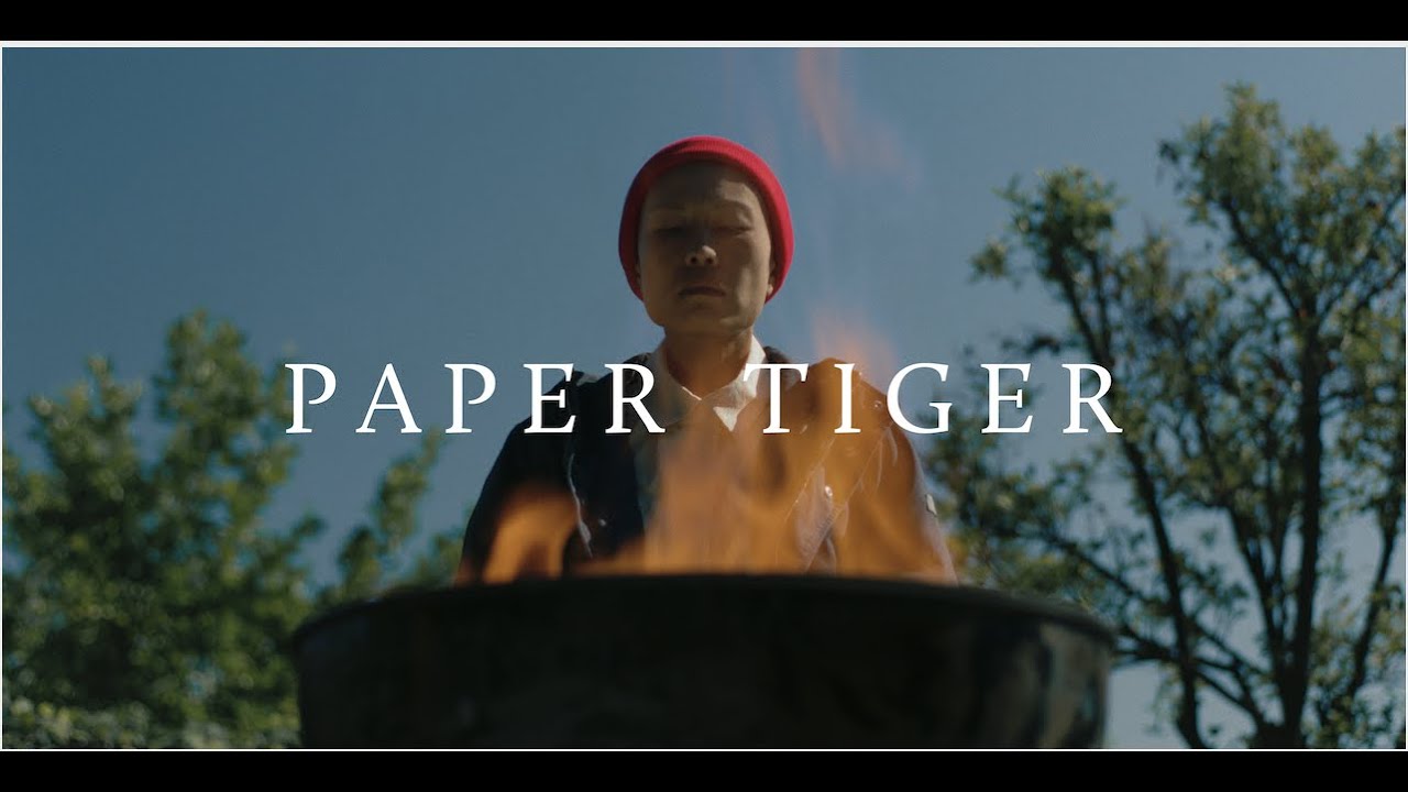 Paper Tiger Official Trailer - YouTube