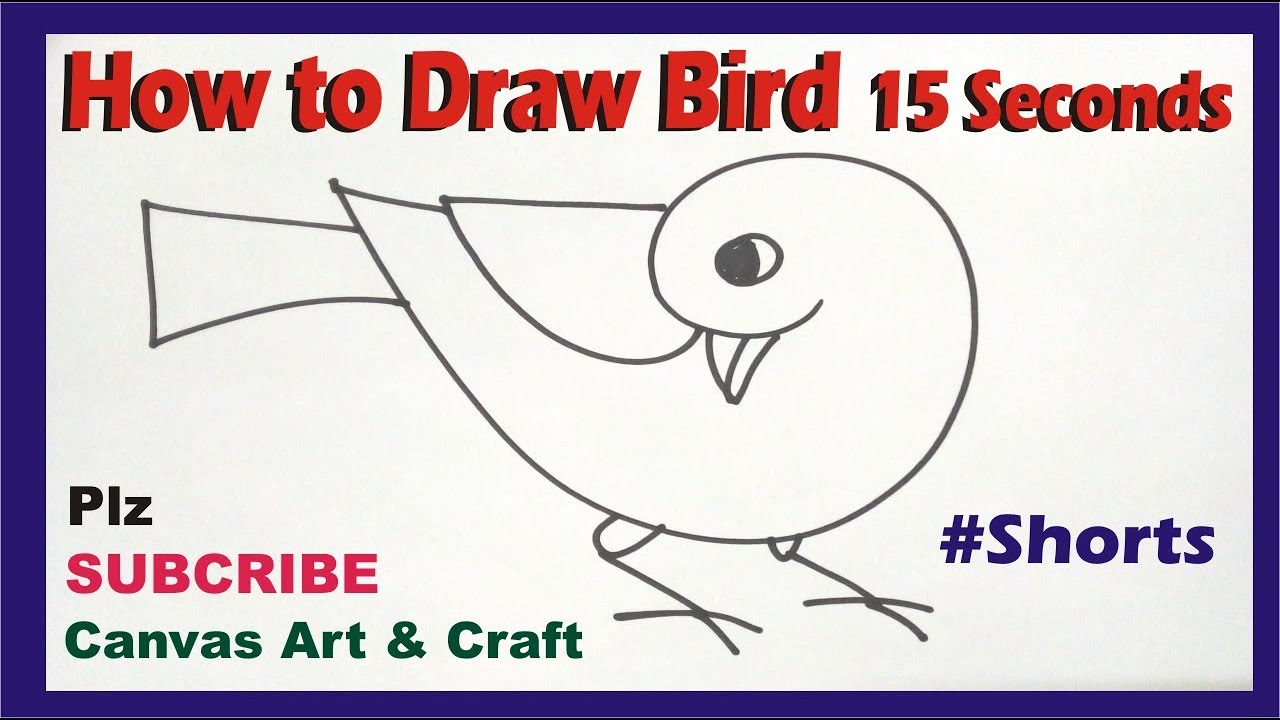 #Shorts//How to Draw Bird//Easy bard Drawing Step by Step for Beginners ...