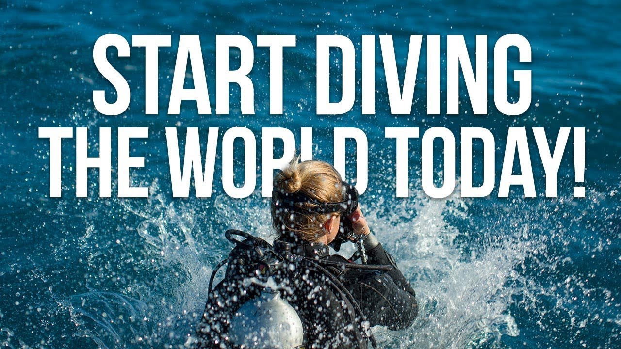 Start Diving the World Today! - YouTube