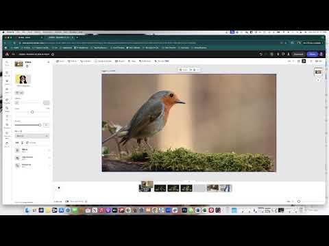 Adobe Express Tutorial November 2024 - YouTube