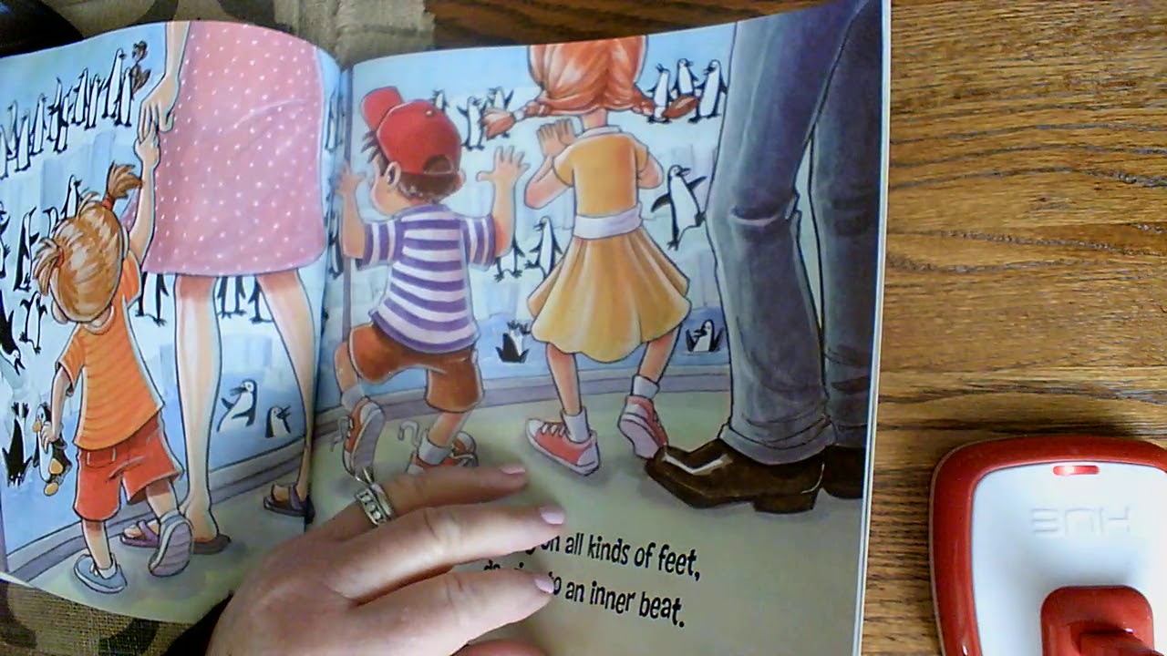 The View at the Zoo - Read Aloud - YouTube