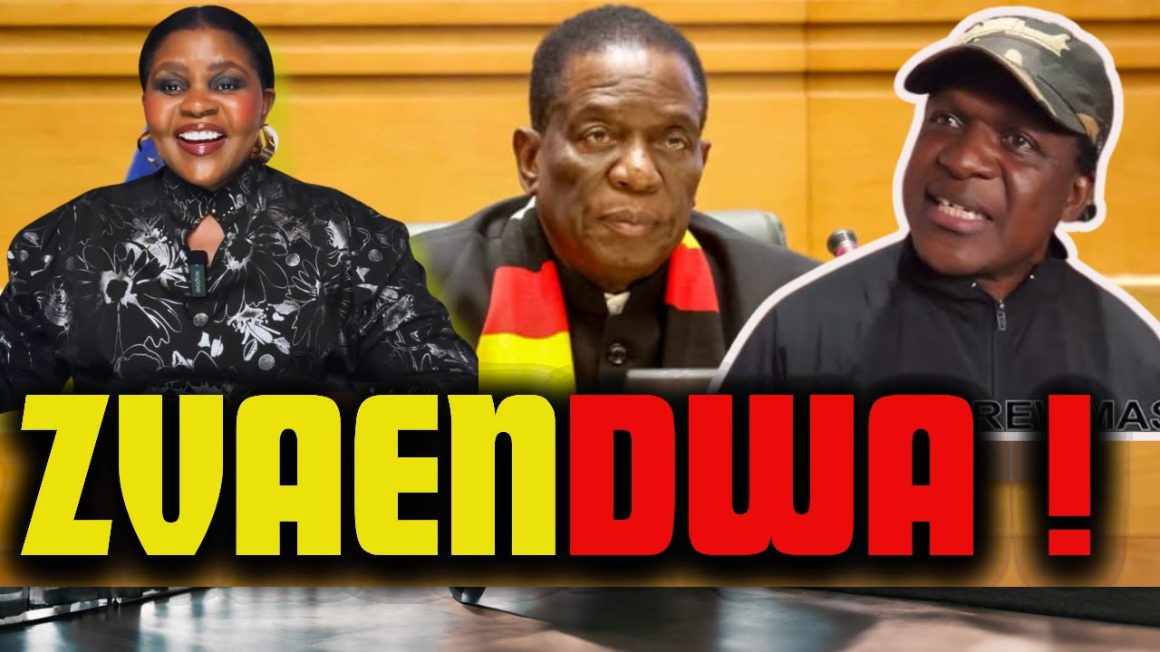 #LIVE With CLIVE MALUNGA: Mnangagwa Will Be Removed Soon | Lets Join ...