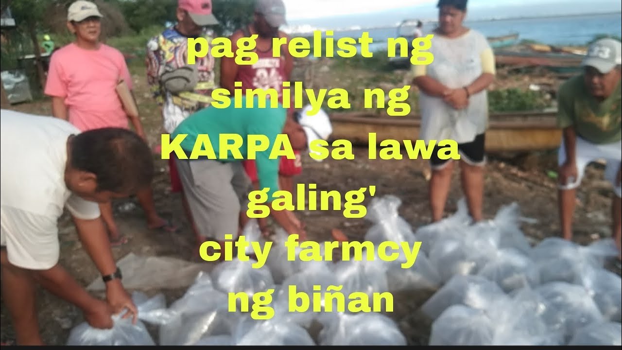 Pag release ng mga similya sa lawa ng laguna - YouTube
