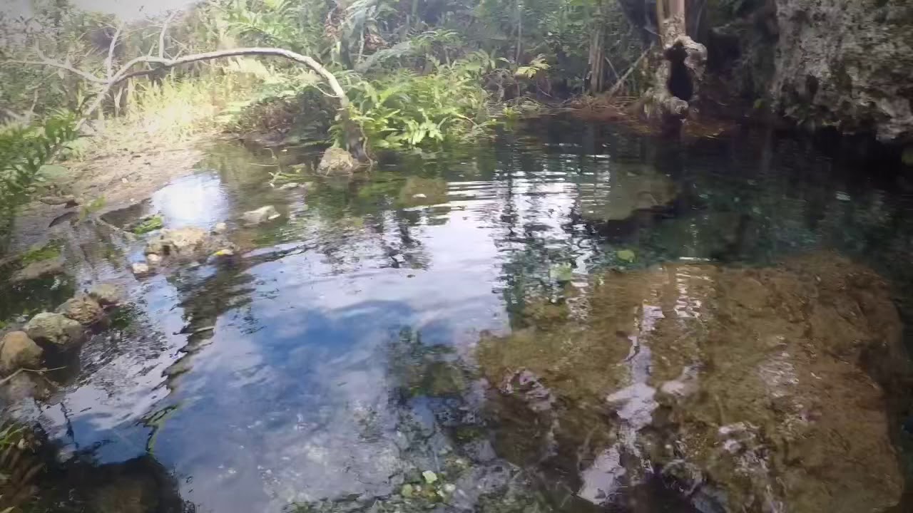 Manantial Guayaney en Manatí PR - YouTube