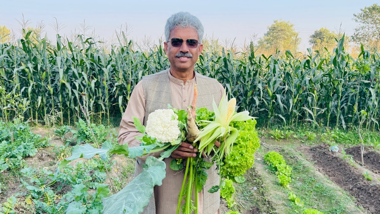 A Day in Village | Amin Hafeez - YouTube