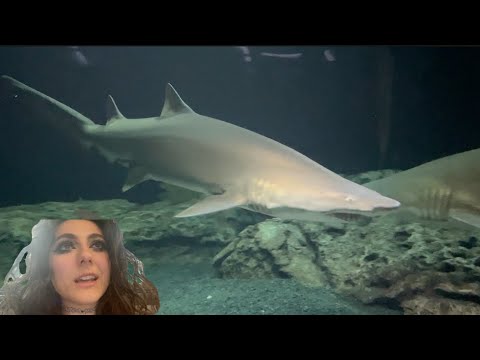 Releasing my first music video! - YouTube