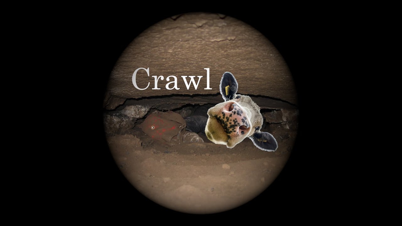 Claustrophobia the Game | Crawl Itch.io Horror - YouTube