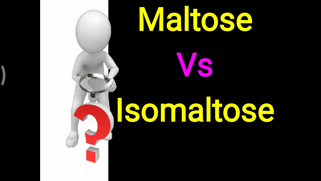 Isomaltose Vs Maltose Maltose | CAS#:69 79 4 | Chemsrc