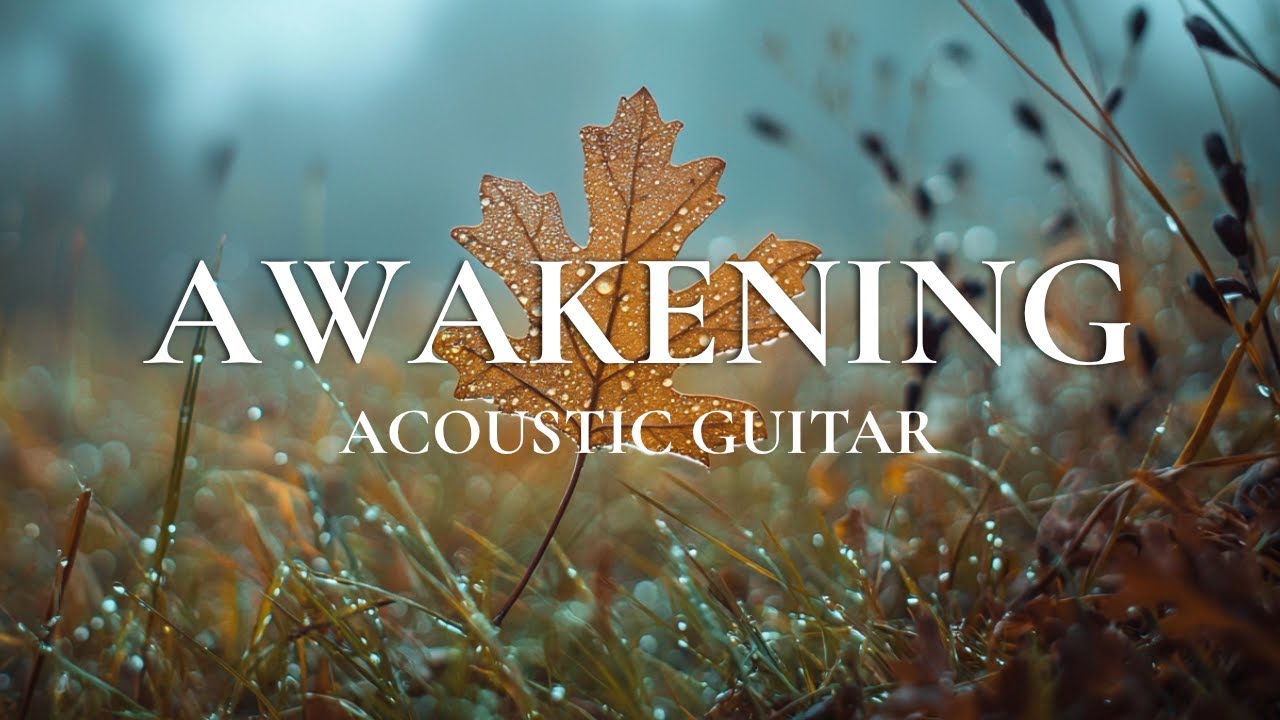 Acoustic Guitar Music for Reading, Relaxation, and Stress Relief ...