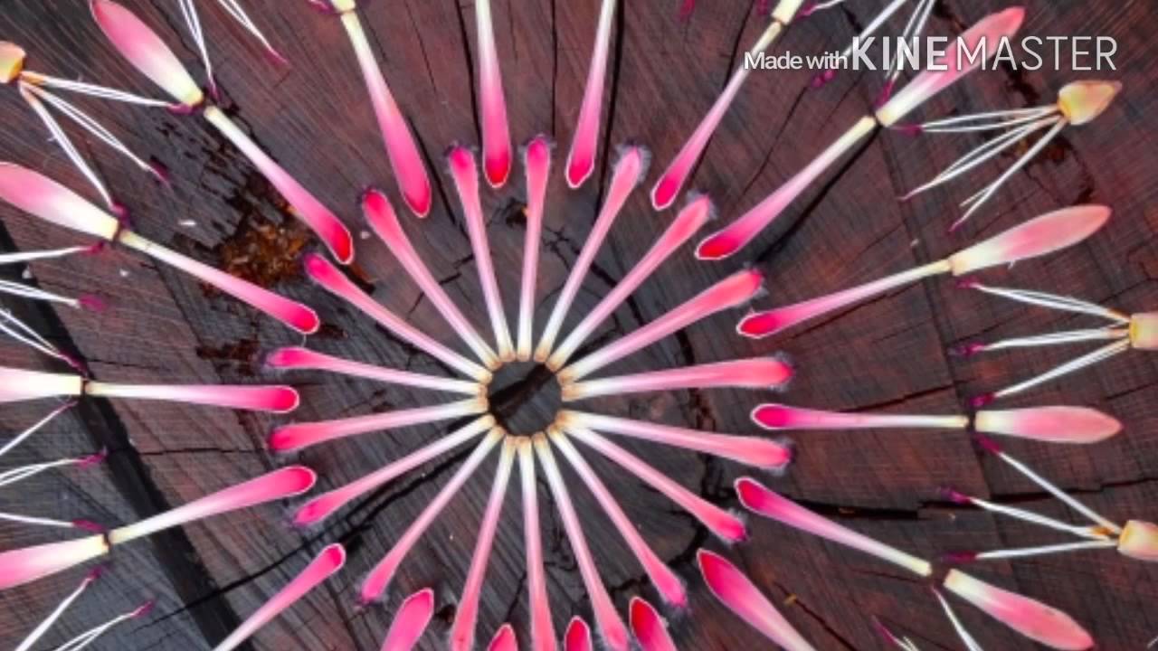 Works of artist Kathy Klein - YouTube