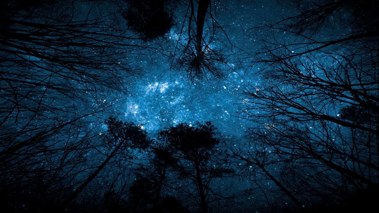 Forest Sound | Night in the Forest | Soothing Night in Forest | Nature ...