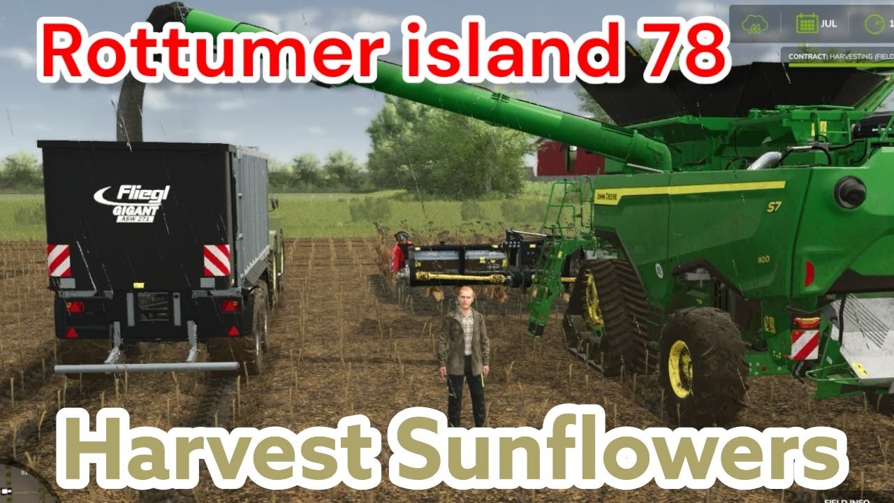 Rottumer island 78 | Harvesting Sunflower | Roling | FS25 | - YouTube