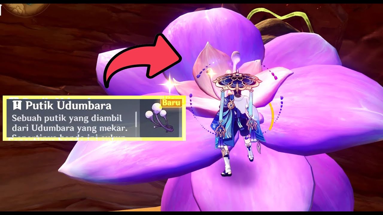 6 Lokasi Putik Udumbara - Genshin Impact Indonesia - YouTube