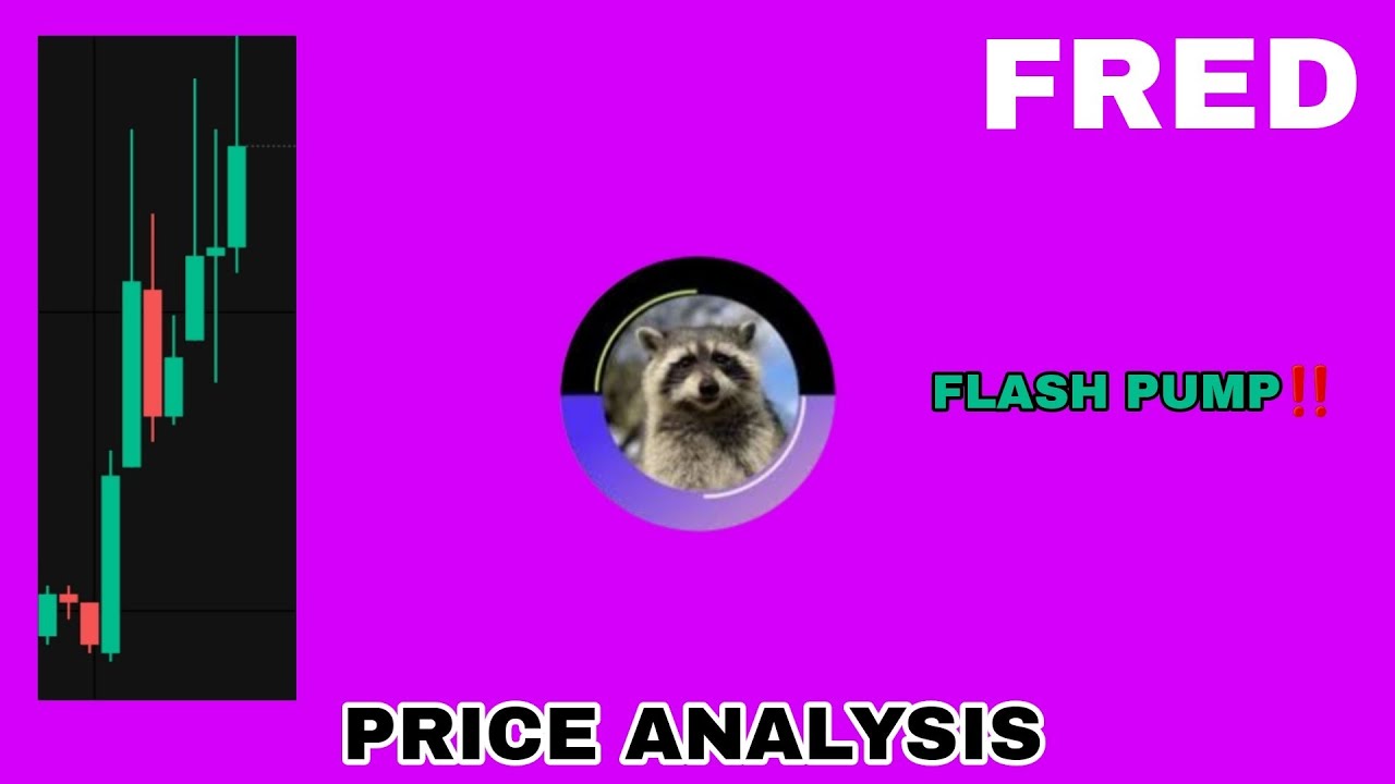 FRED COIN FLASH PUMP UPDATE IN 2025 FIRST CONVICTED RACCON PRICE ...