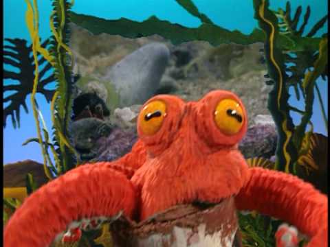 Owl and Octopus - The Animal Show with Stinky and Jake - The Jim Henson ...
