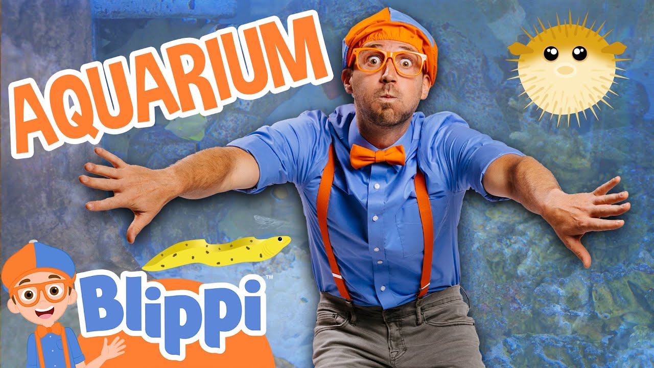 Blippi Makes A Splash At The Marine Aquarium 🌊 Sea Animals for Kids ...