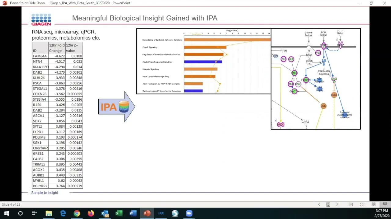 How To Do Pathway Analysis The Right Way using IPA - YouTube