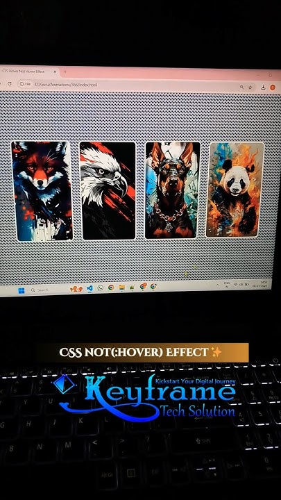 CSS not(:hover) Effect - YouTube