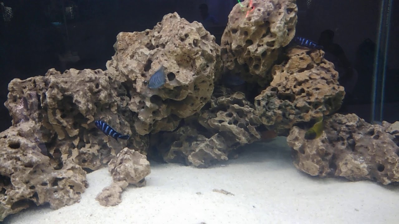 Malawi Cichlid Rockscape - YouTube