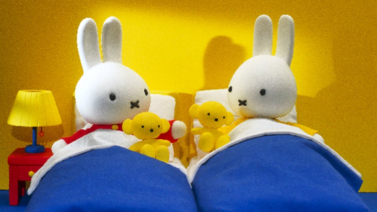 we hebben dezelfde beren | nijntje en vriendjes | kinderanimatie - YouTube