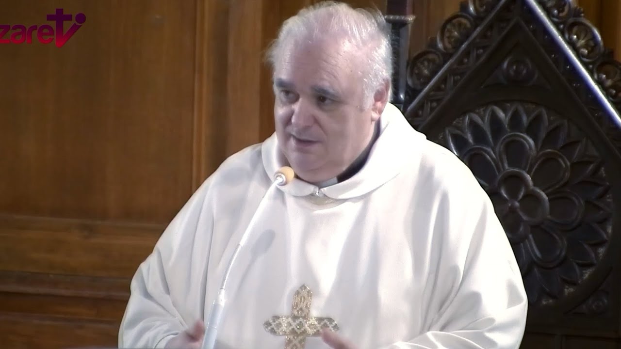 Evangelio y homilía de hoy lunes 18 de noviembre de 2024. Rvdo. Enric Ribas, pbro. - YouTube