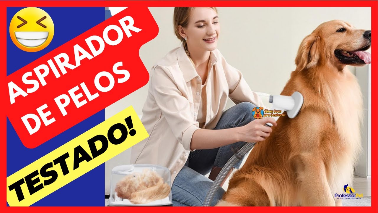 CASA SUJA de PELOS DE CACHORRO? Descubra como LIMPAR CACHORRO com o ...
