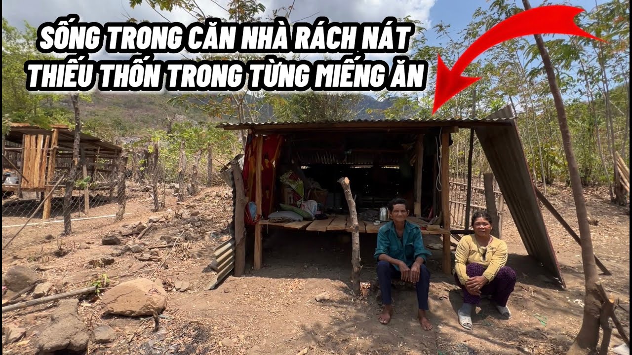 Sống Trong Rừng Mấy Chục Năm Trong Ngồi Nhà Rách Nát, Thiếu Thốn Từng ...