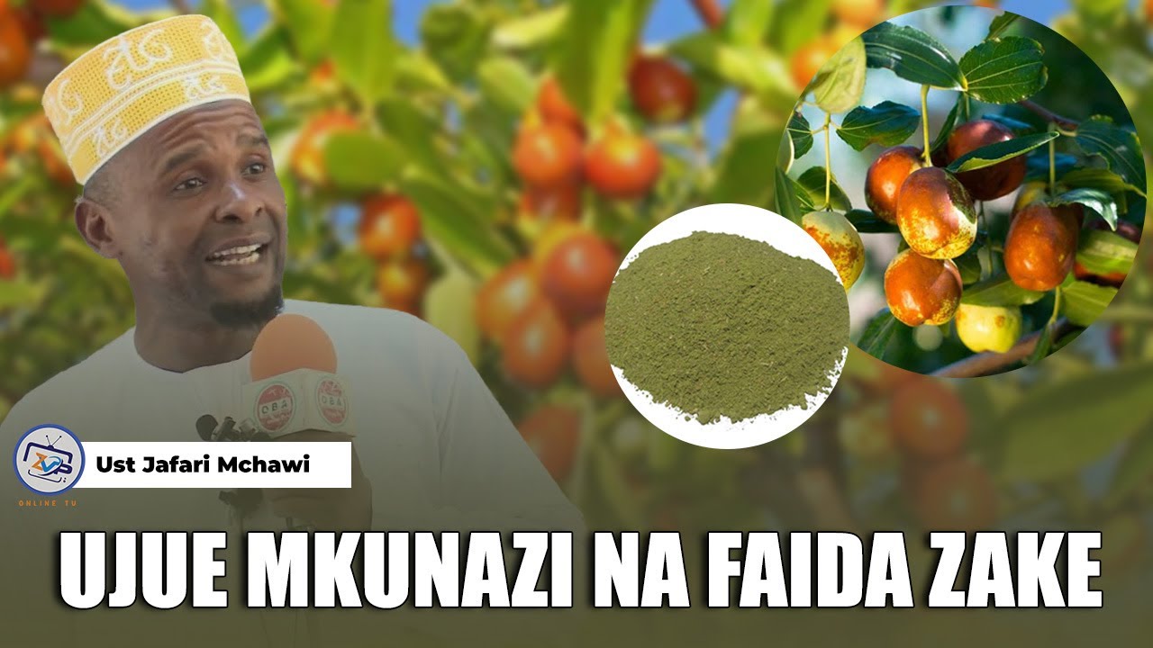 UJUE MKUNAZI NA FAIDA ZAKE KATIKA KUTIBIA MAGONJWA SUGU"USTADH JAFAARI ...