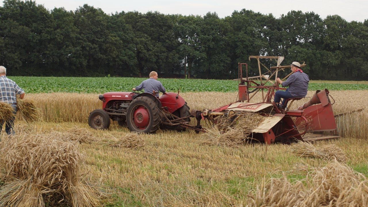 Claas SF combine en Fahr zelfbinder - YouTube