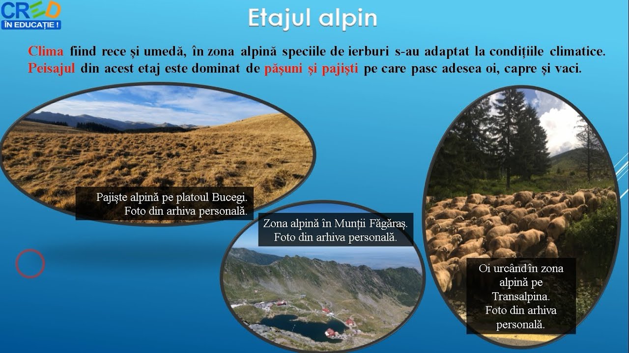 RED Geografia României. Zona alpină - YouTube