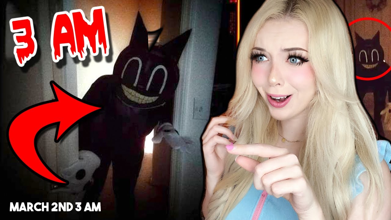 CARTOON CAT Spotted In My HOUSE AT 3AM! HELP - YouTube
