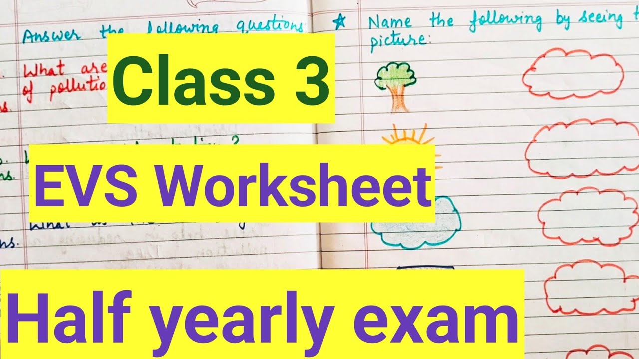 Class 3 evs half yearly exam Question Paper 2024-25 | Class 3 Exam ...