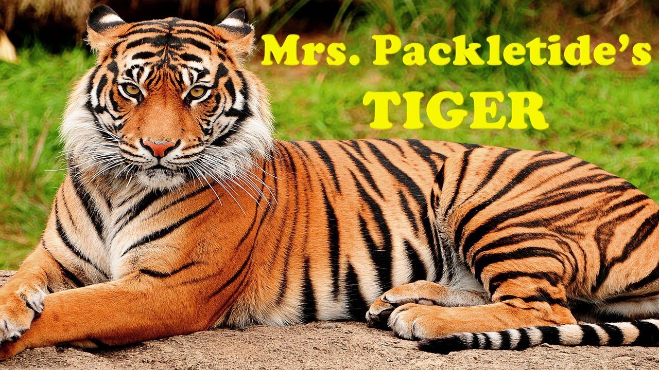 Mrs. Packletide's Tiger / Story Narration / Saki / Hector Hugh Munro ...