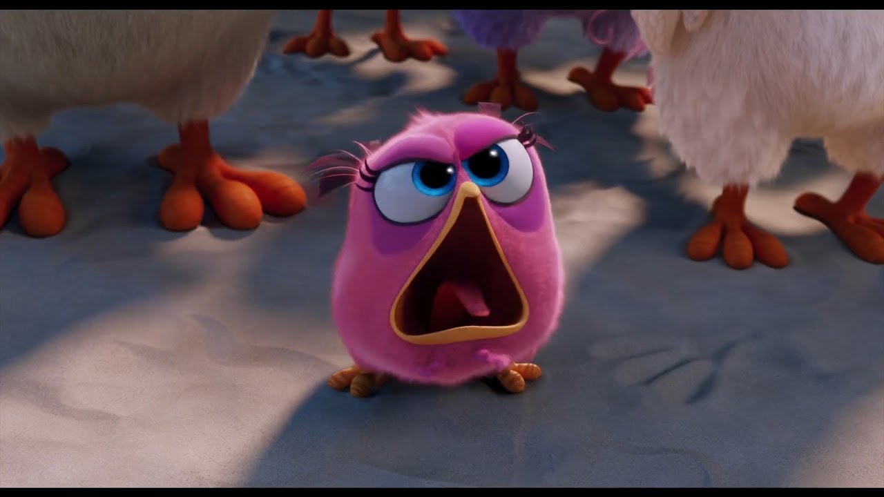 angry birds, rovio, angry birds movie, fun, angry birds toons, angry ...