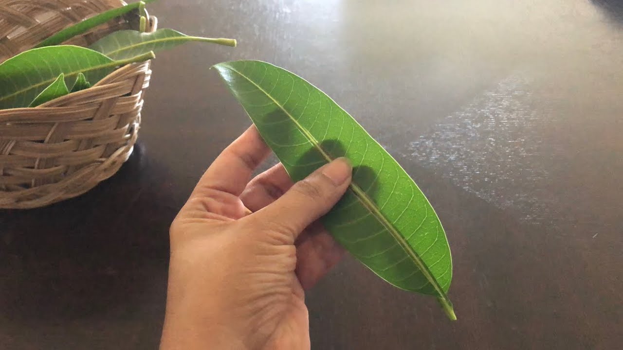 Mango leaves thoran traditional puja decor ideas| Vinayaka chavithi ...