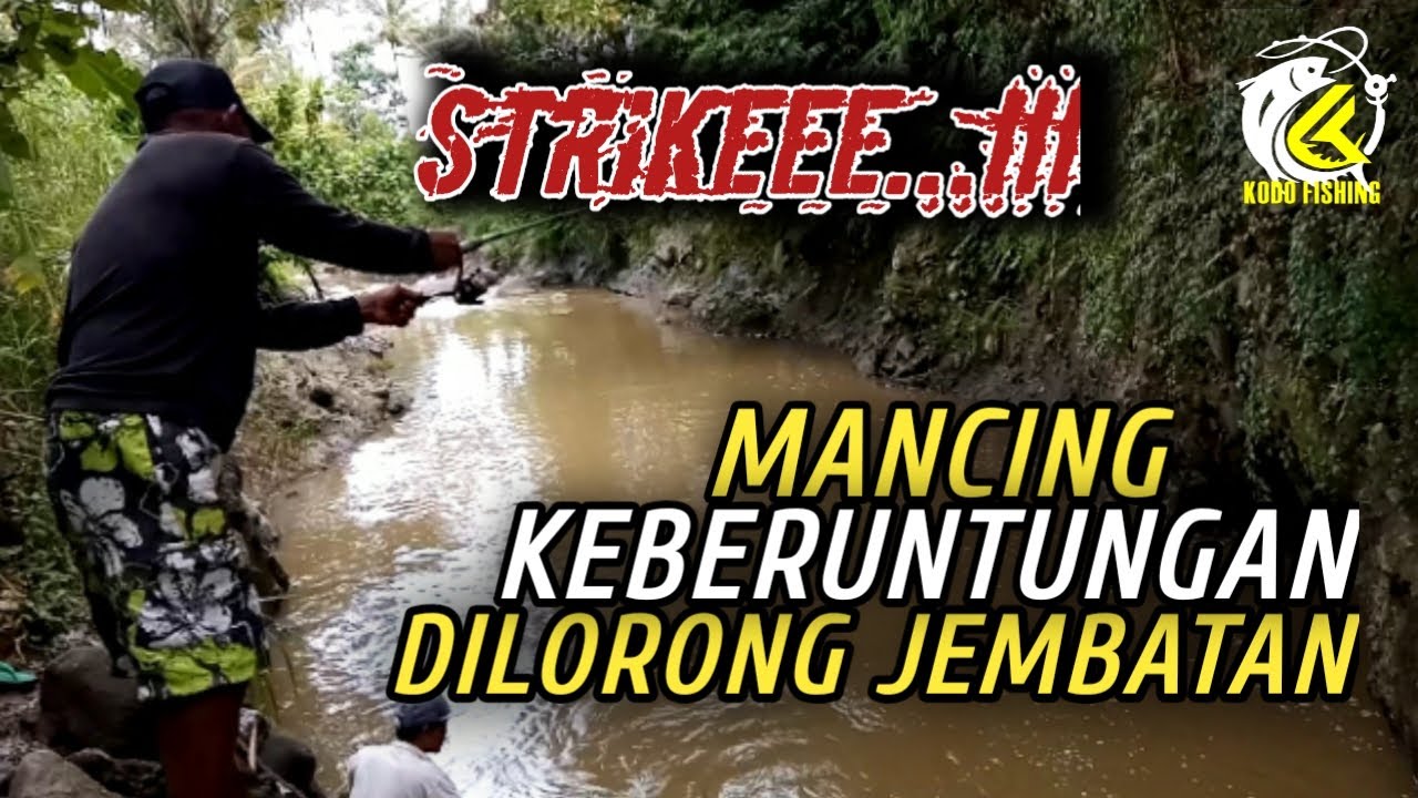 MANCING IKAN PUTIHAN DIBAWAH JEMBATAN | MANCING IKAN | KODO FISHING ...