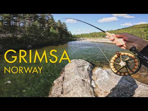 The Grimsa Fly Fishing Zone in Folldal - Destination Norway 2026 - Episode 1