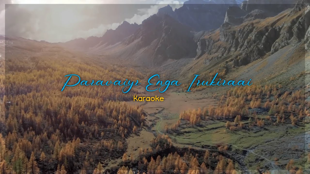 Paravaiye Engu Irukiraai (Karaoke)... - YouTube
