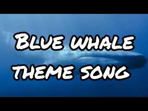 Blue Whale Theme Song (Official Audio) - YouTube