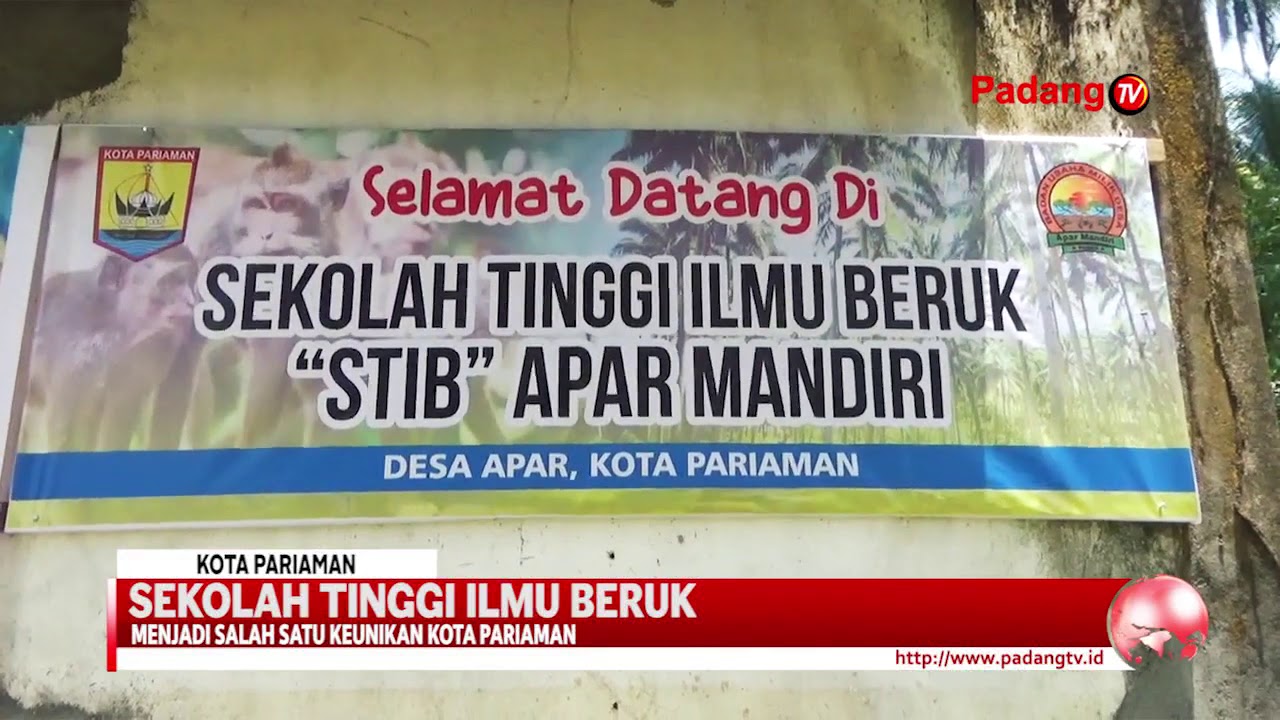 Viral!! Sumatera Barat di kota Pariaman telah meresmikan STIB(Sekolah ...
