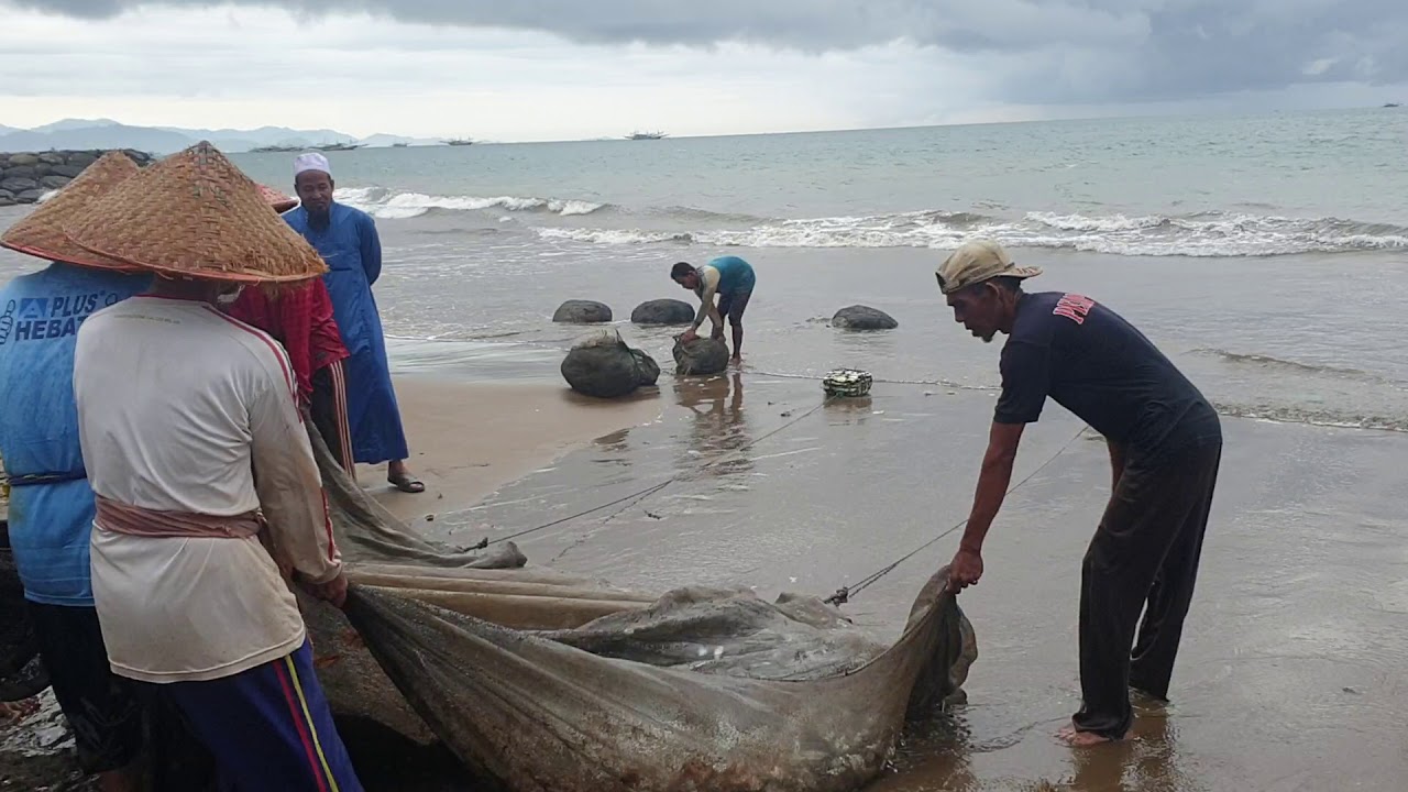 Pukek di pasir jambak - YouTube