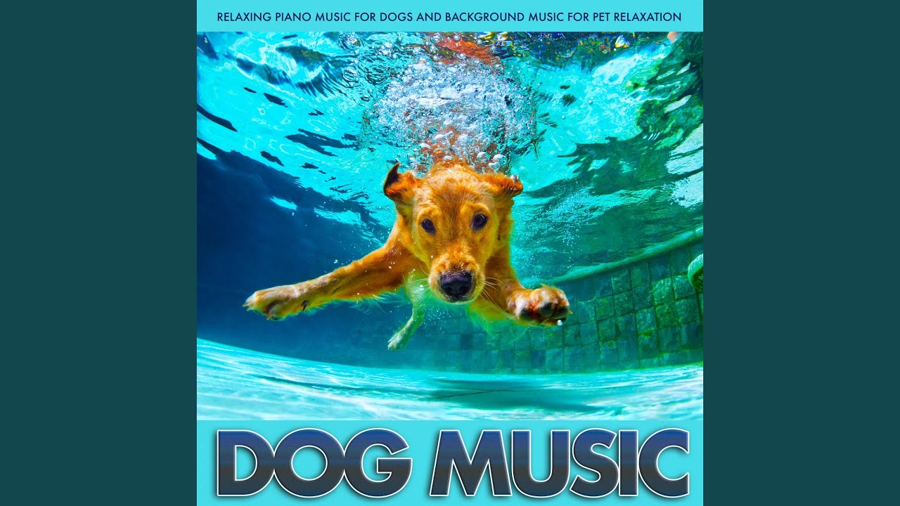 Music For Animals - YouTube