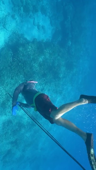 Medium Fins: Cold Water + Warm Spearfishing - YouTube