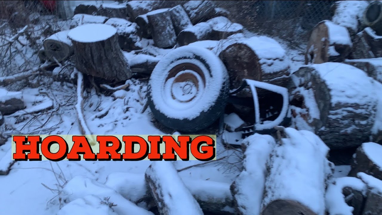 Wood Hoarding Addiction In Single Digit Snow Storm - YouTube