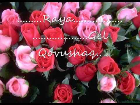 Raya Shemkirli Gel Qovushaq