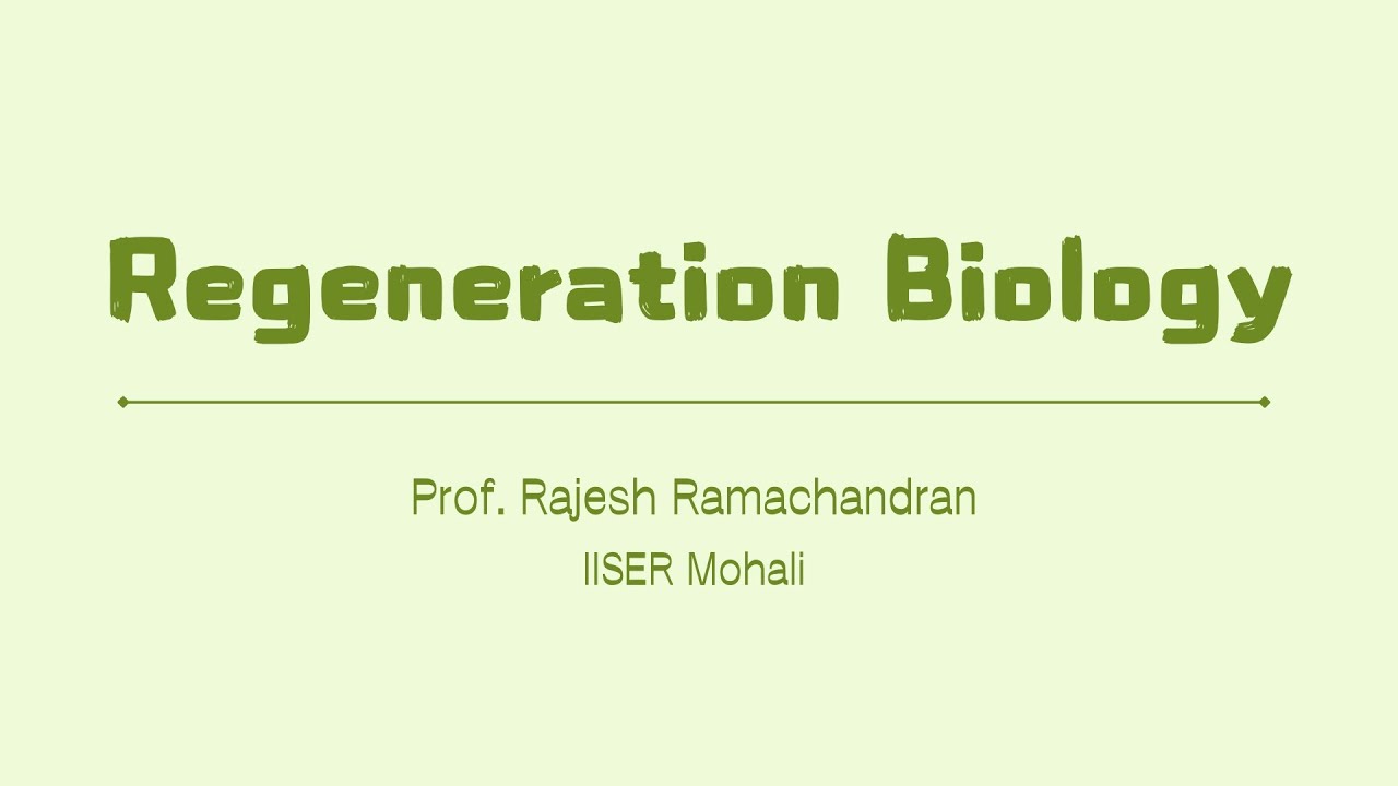 W7L32_Different cellular signaling during regeneration. Examples- Jak-STAT and Fgf signaling ...